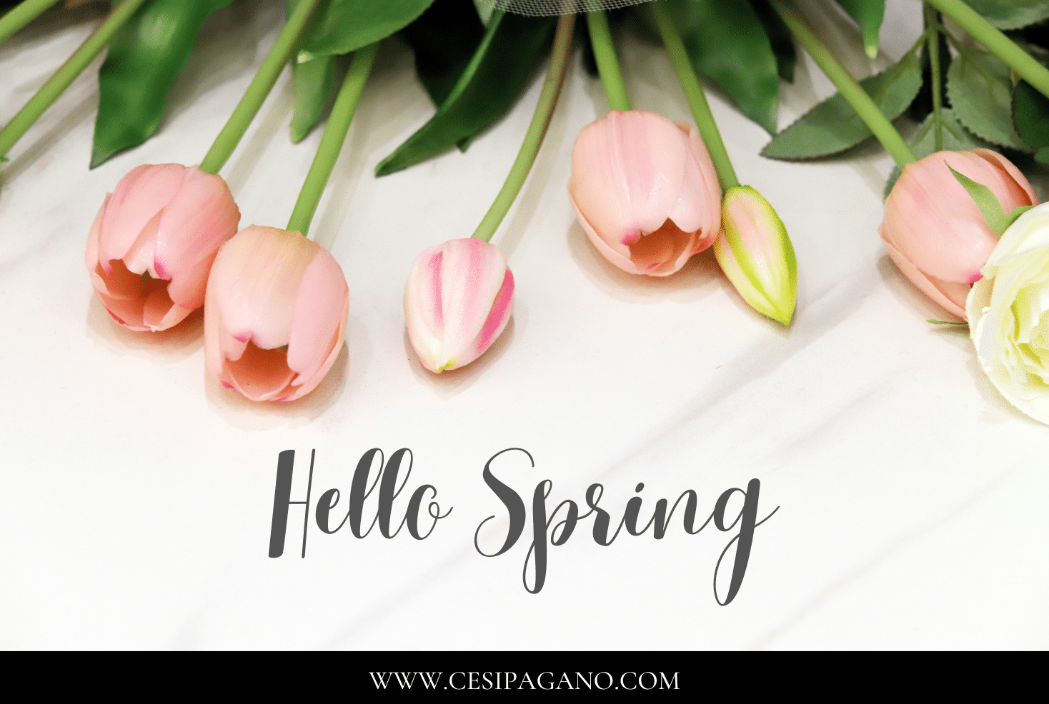 Prepping Your Home for Spring | Cesi Pagano & Associates